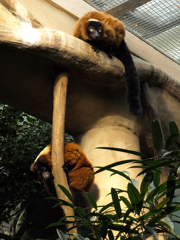 Smithsonian National Zoo - HawkeBackpacking.com