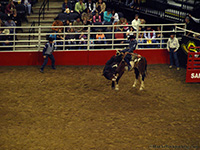San Antonio Rodeo - HawkeBackpacking.com