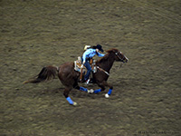 San Antonio Rodeo - HawkeBackpacking.com